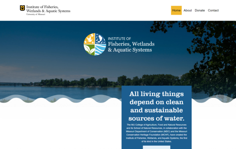 Institute of Fisheries, Wetlands, and Aquatic Systems | MayeCreate Design